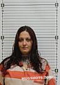RIDDICK LAURA LAWANDA 09/11/2025 - Williams County Mugshots Zone