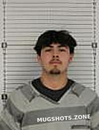 DELORME ZACHARY DAVID FALCON 10/14/2025 - Williams County Mugshots Zone