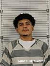 GONZALEZ-DELGADO ELIAN 11/29/2025 - Williams County Mugshots Zone