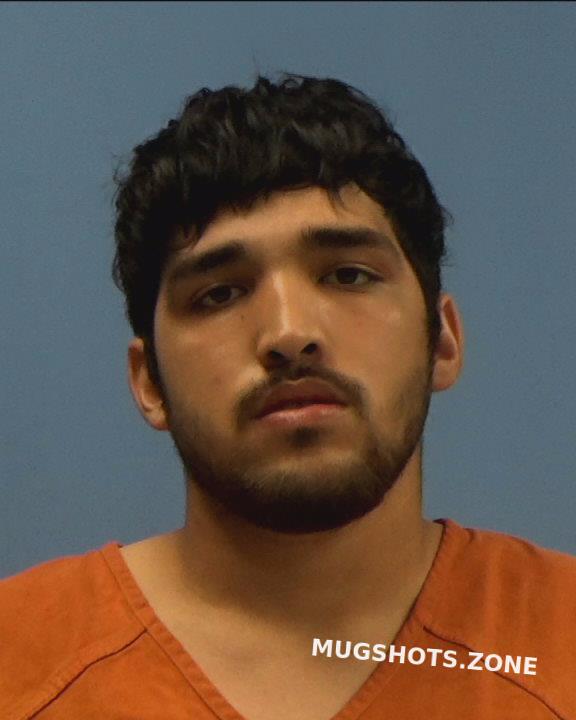 JOHNSON DEVIN ALEXANDER 01/06/2021 - Williamson County Mugshots Zone