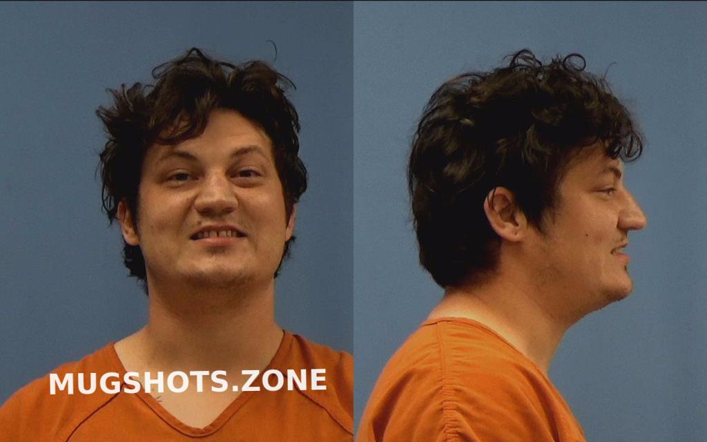 MYNAR MICHAEL LOUIS 02/13/2021 - Williamson County Mugshots Zone