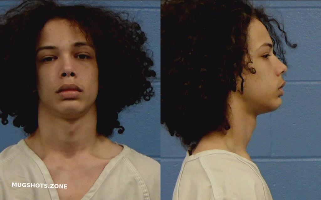 BARRON QUINTON ELIJAH JAMES 03/19/2021 - Williamson County Mugshots Zone