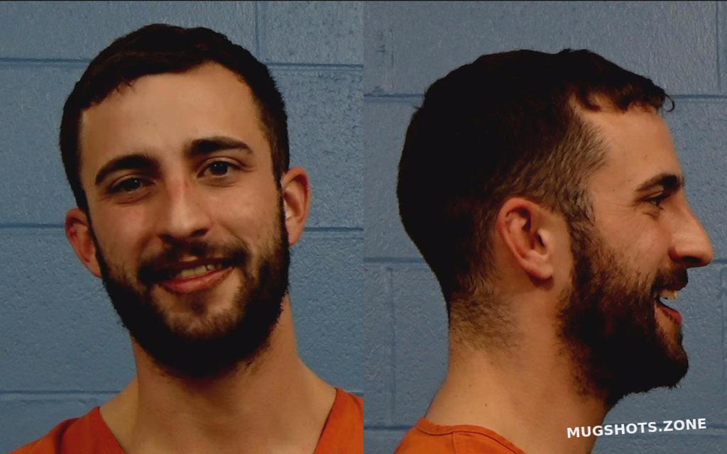 GLADDING FRANK EUGENE 03/19/2021 - Williamson County Mugshots Zone