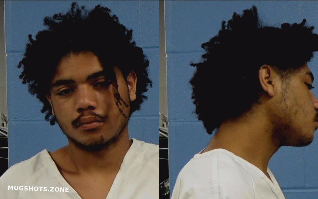 VALLES JOSEPH DEVAN 03/24/2021 - Williamson County Mugshots Zone