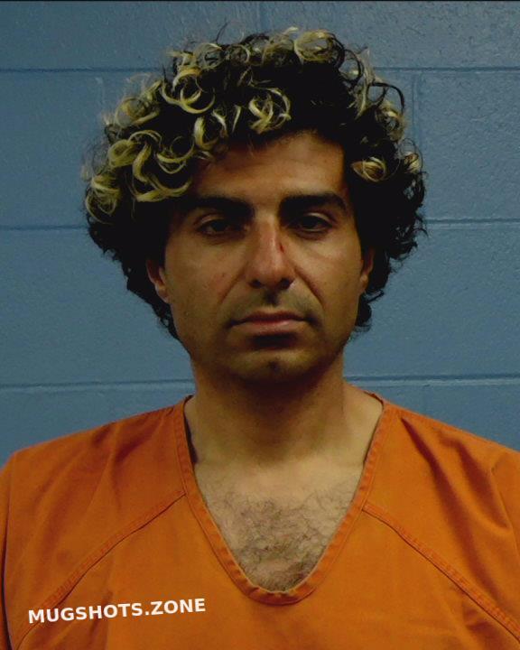 ANALUI BEHDAD 03/26/2021 - Williamson County Mugshots Zone