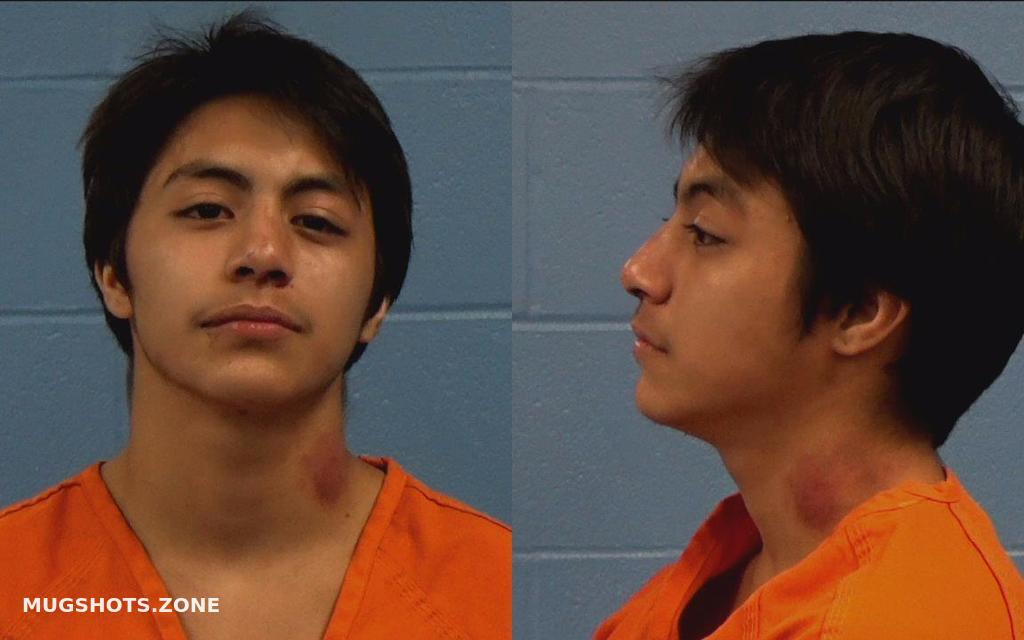SALAS JONATHAN RENE 06/13/2021 - Williamson County Mugshots Zone