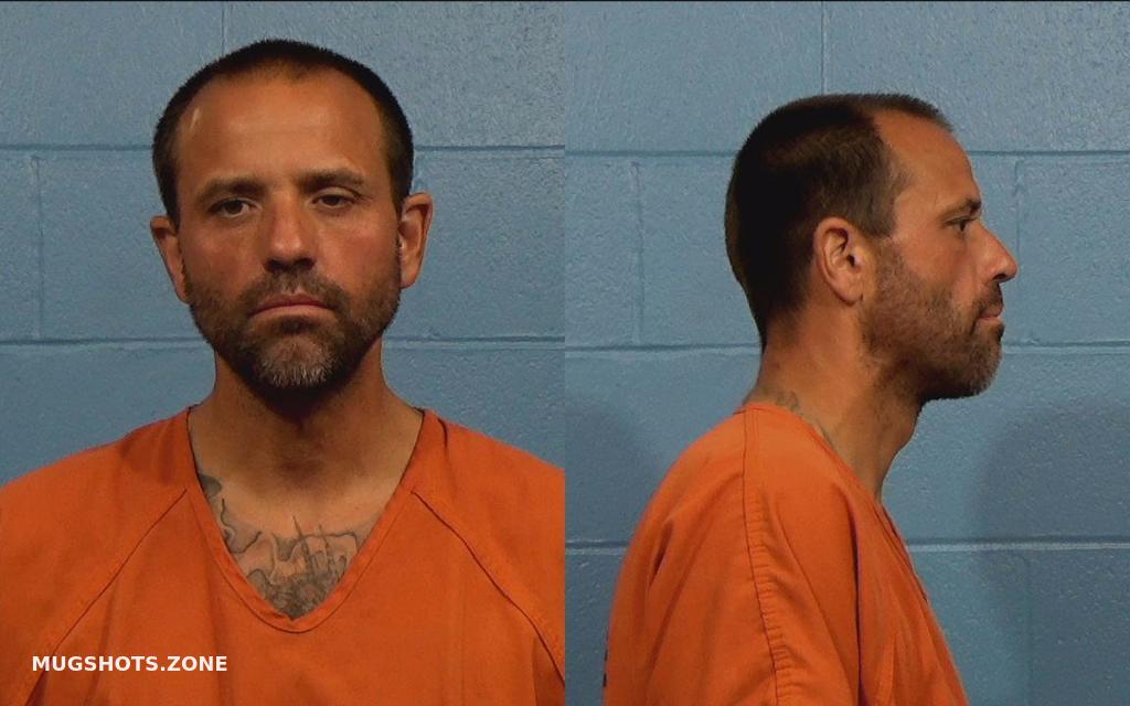 FRANKS WAYLON PAUL 06/17/2021 - Williamson County Mugshots Zone