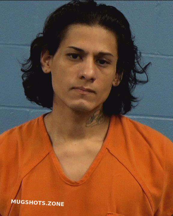 CIPOLLA CHRISTOPHER RODOLPH 07/05/2021 - Williamson County Mugshots Zone