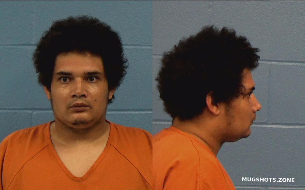 CARY ANDREW MICHAEL 07/10/2021 - Williamson County Mugshots Zone