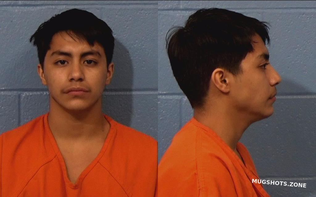 SALAS JONATHAN RENE 07/17/2021 - Williamson County Mugshots Zone