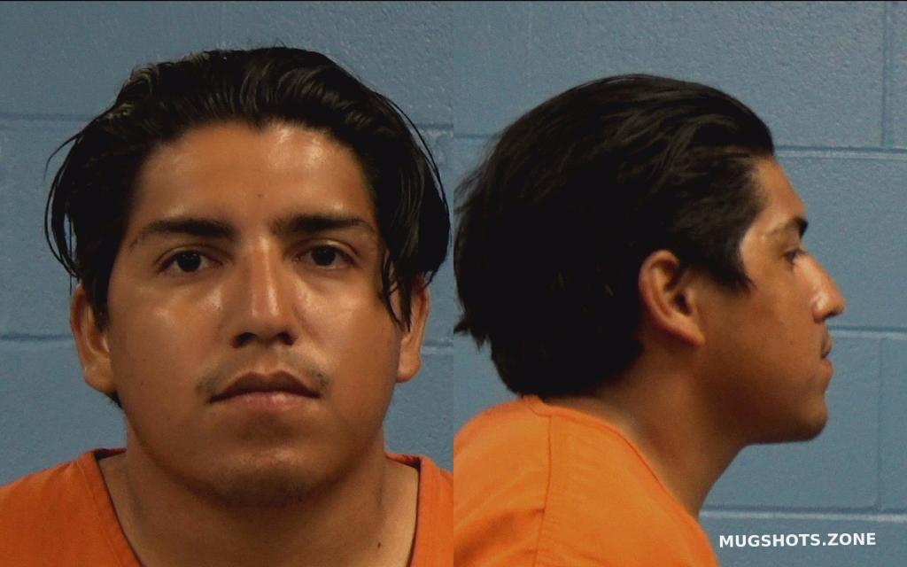 BALANDRAN CHRISTIAN ALEX 08/12/2021 - Williamson County Mugshots Zone
