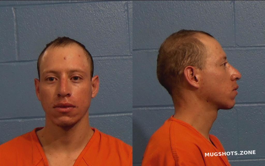MEDINA-SANDOVAL EMMANUEL 08/15/2021 - Williamson County Mugshots Zone
