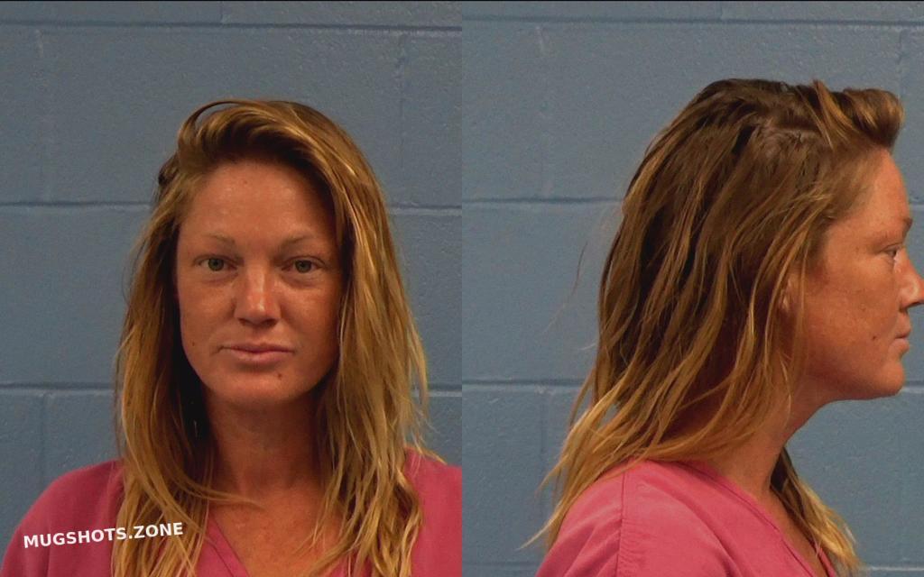 SMALL CHRISTINE MORGAN 08/16/2021 - Williamson County Mugshots Zone