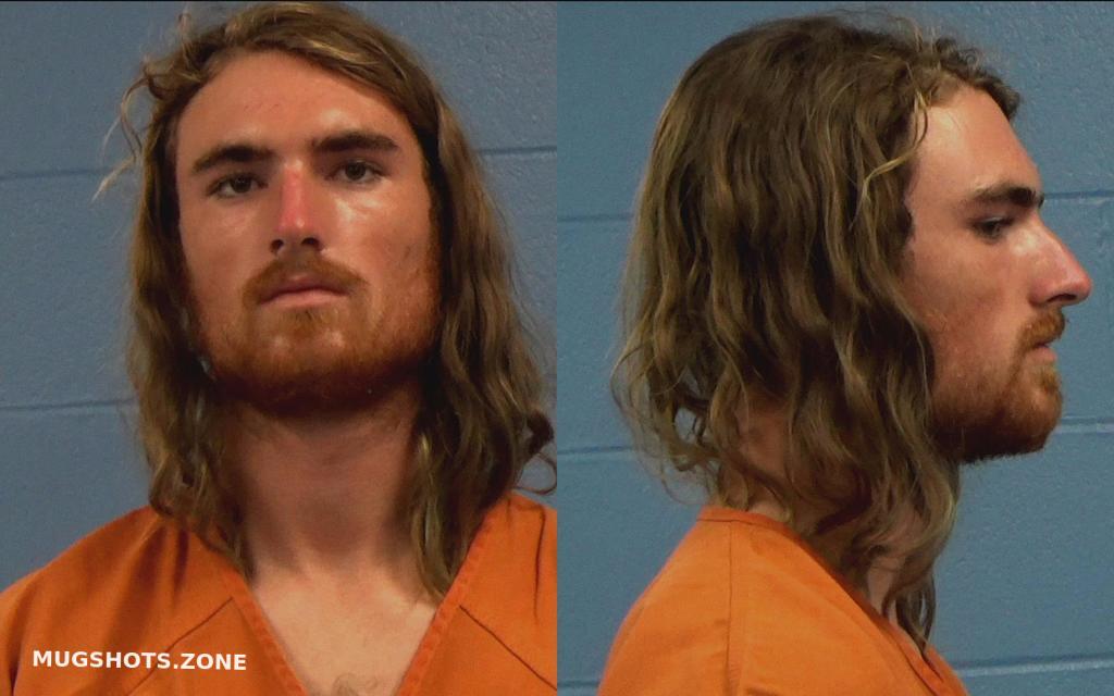 KALEY DEVAN MICHAEL 10/26/2021 - Williamson County Mugshots Zone