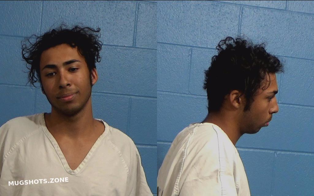 ROBERTS DOMINIC ISAIAH 11/11/2021 - Williamson County Mugshots Zone