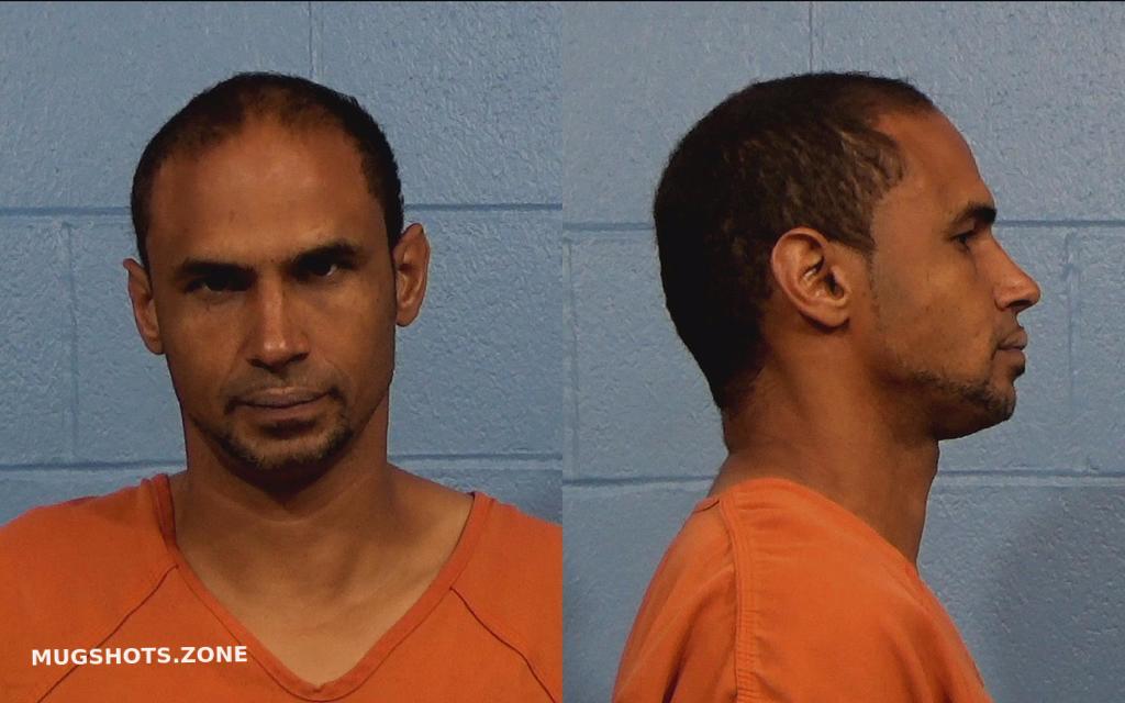 WILSON MICHAEL LEE 11/18/2021 - Williamson County Mugshots Zone