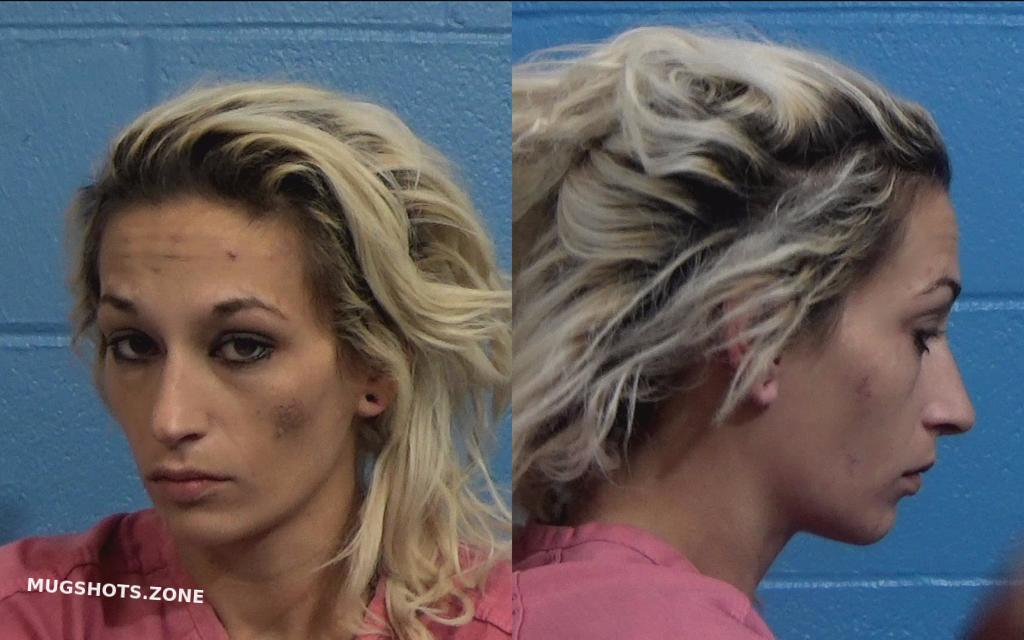 MEEHAN SKYE MARIE 11/25/2021 - Williamson County Mugshots Zone