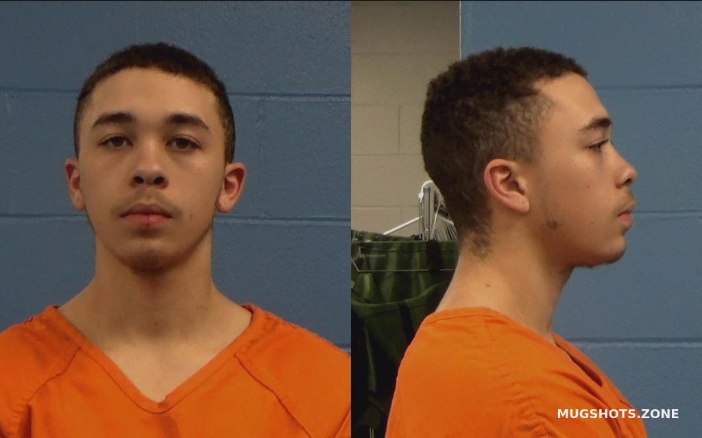 SANDERS CLYDE COOK 11/28/2021 - Williamson County Mugshots Zone