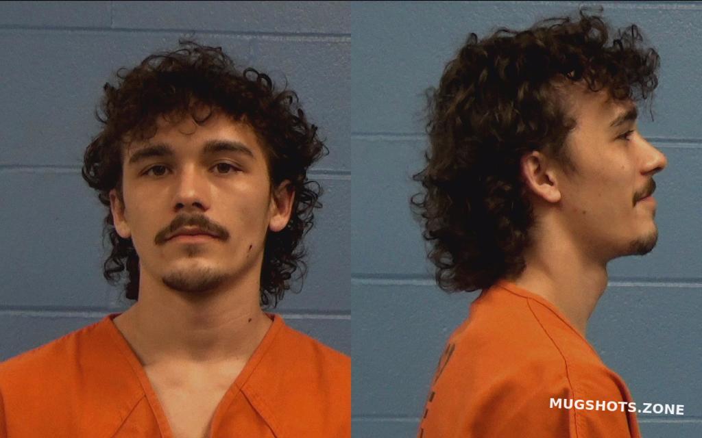 DEMOSS JORDAN BLAKE 12/01/2021 - Williamson County Mugshots Zone