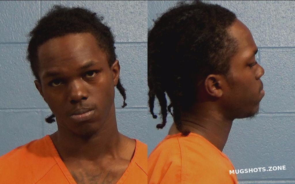 DEMUCHEST LOVIE LEE 12/05/2021 - Williamson County Mugshots Zone