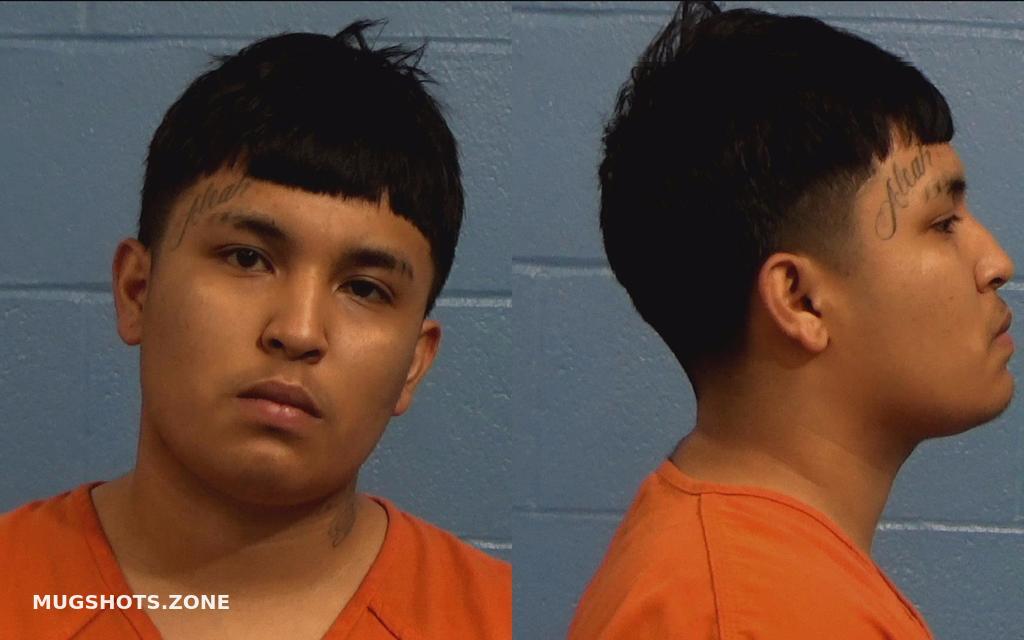 ANDRADE MELVIN DANIEL 12/05/2021 - Williamson County Mugshots Zone