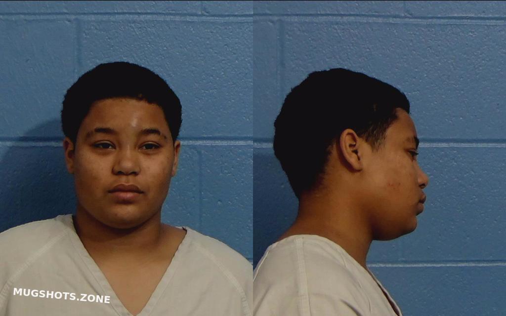 HARDIN ALEXIS MARIE 12/08/2021 - Williamson County Mugshots Zone