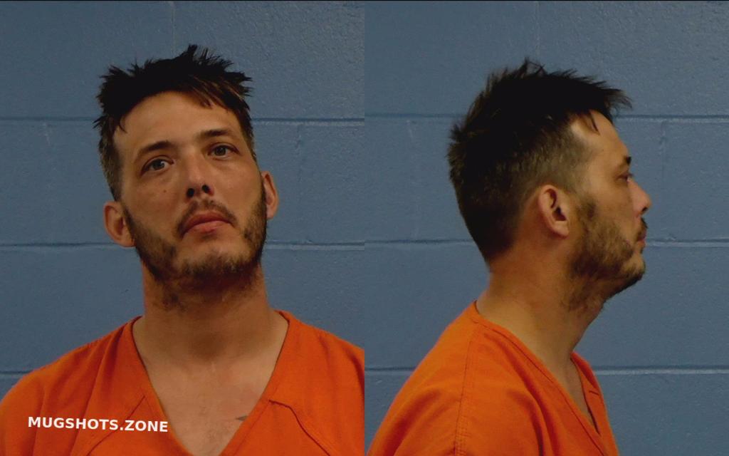 MACPHERSON SCOTT ALLEN 12/13/2021 - Williamson County Mugshots Zone