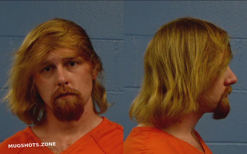 WILSON JONATHAN ROBERT 12/14/2021 - Williamson County Mugshots Zone