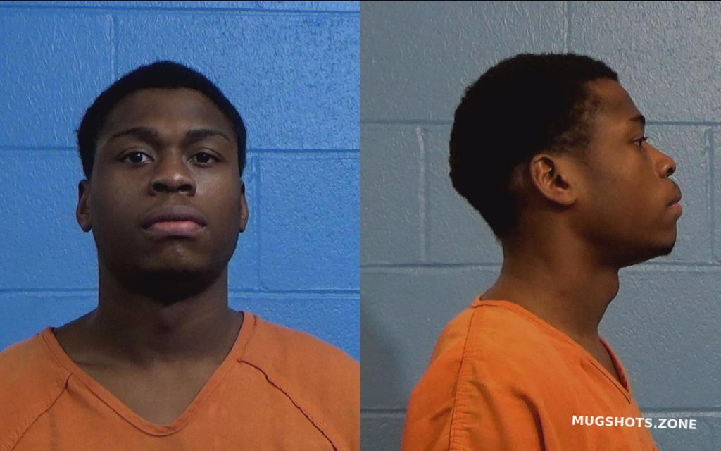 HARDIN DEANDRE NELSON 01/11/2022 - Williamson County Mugshots Zone