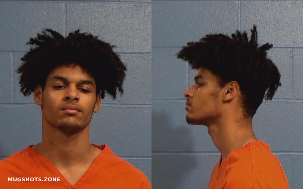 LANDEROS THADDEUS BLAKE 01/11/2022 - Williamson County Mugshots Zone
