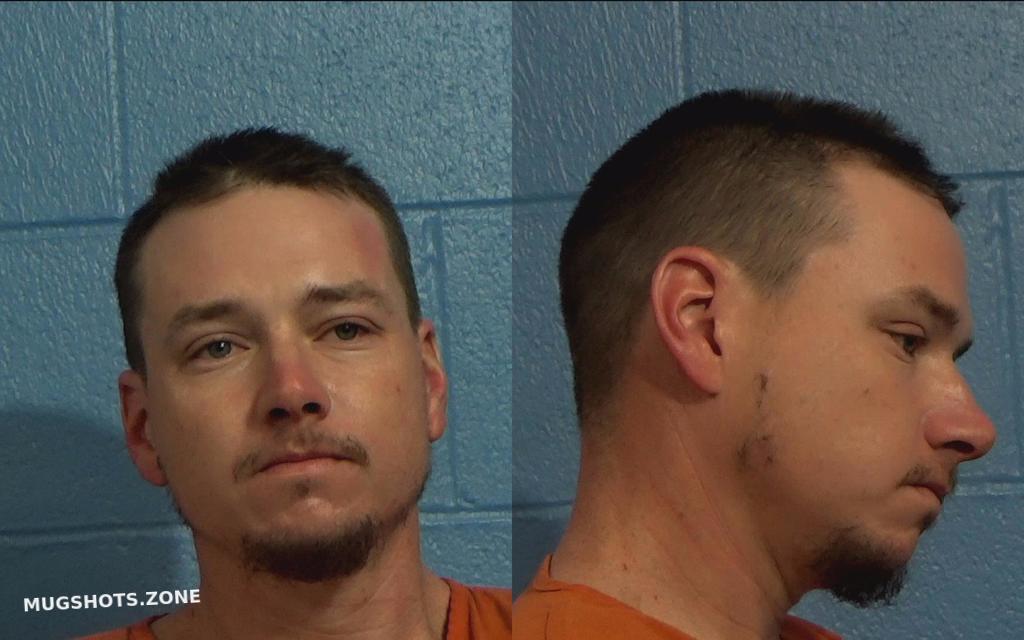 CALHOUN MATHEW STEPHEN 01/15/2022 - Williamson County Mugshots Zone