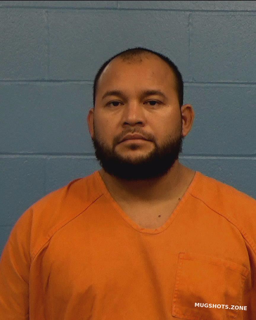 MEJIA-SANCHEZ MAYNOR 01/28/2022 - Williamson County Mugshots Zone