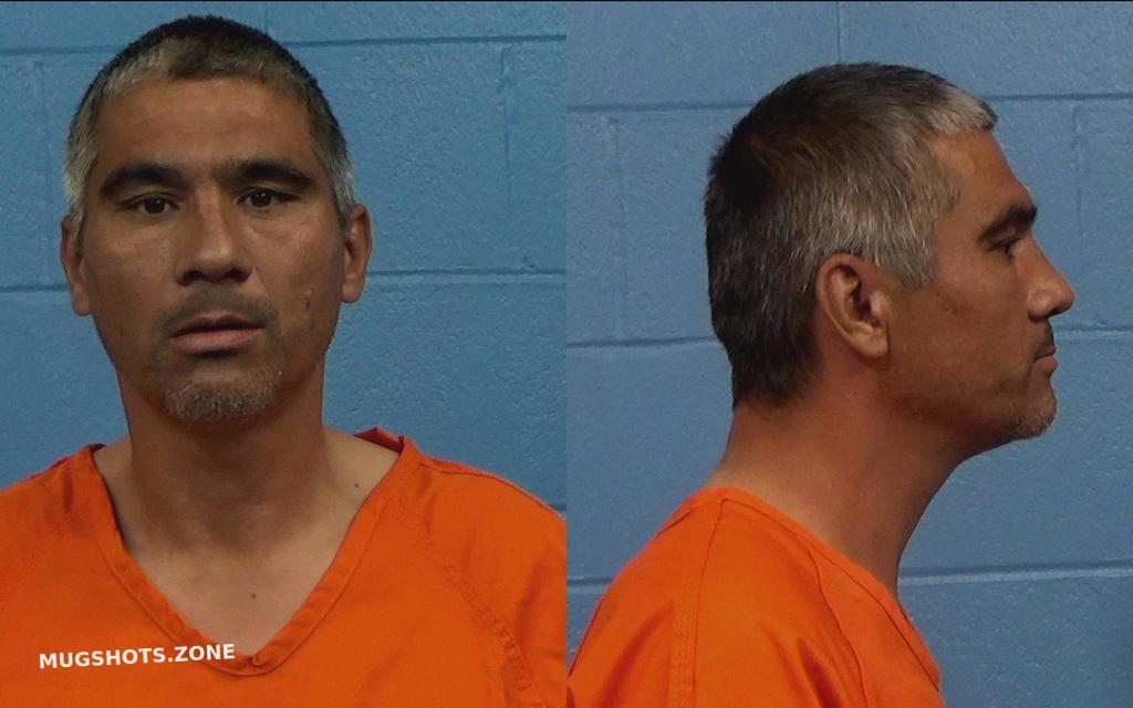 RHYMES KEVIN DWANE 02/10/2022 - Williamson County Mugshots Zone