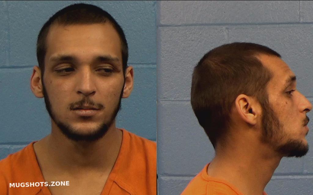 ELLISON THERIN LAMONT 02/11/2022 - Williamson County Mugshots Zone