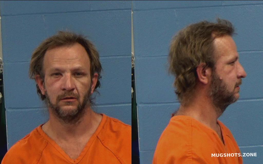 SHANNON TRAVIS EDWARD 02/11/2022 - Williamson County Mugshots Zone
