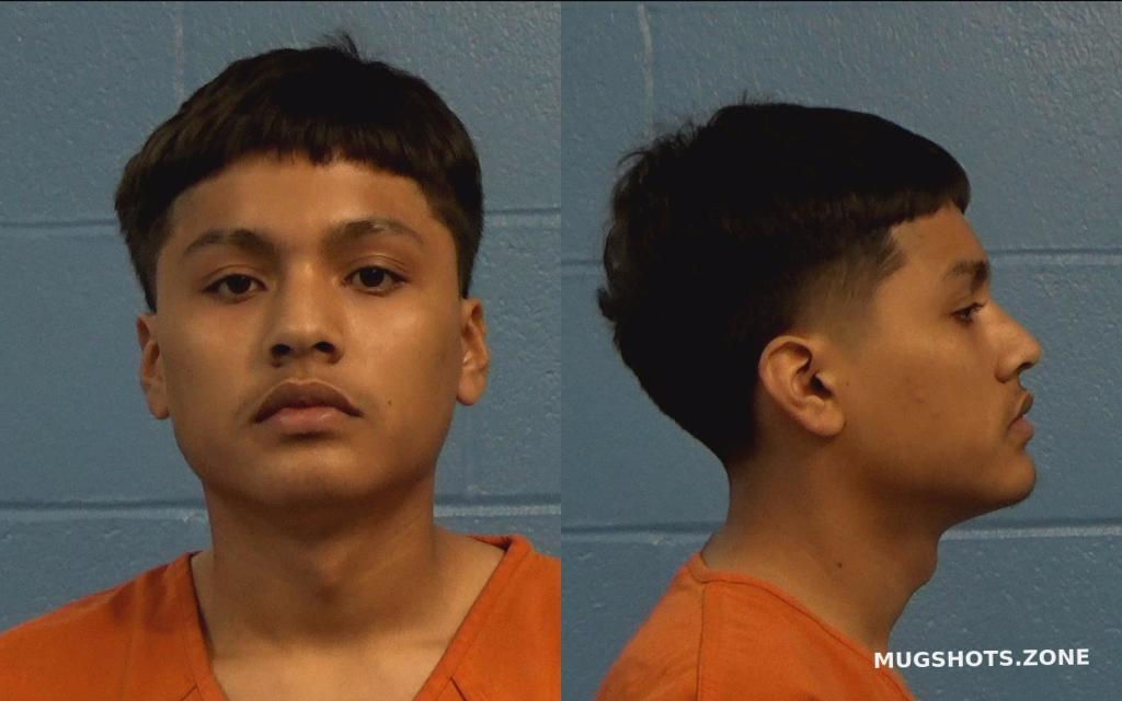 PATINA-ELIZALDE MATTHEW LEE 02/13/2022 - Williamson County Mugshots Zone