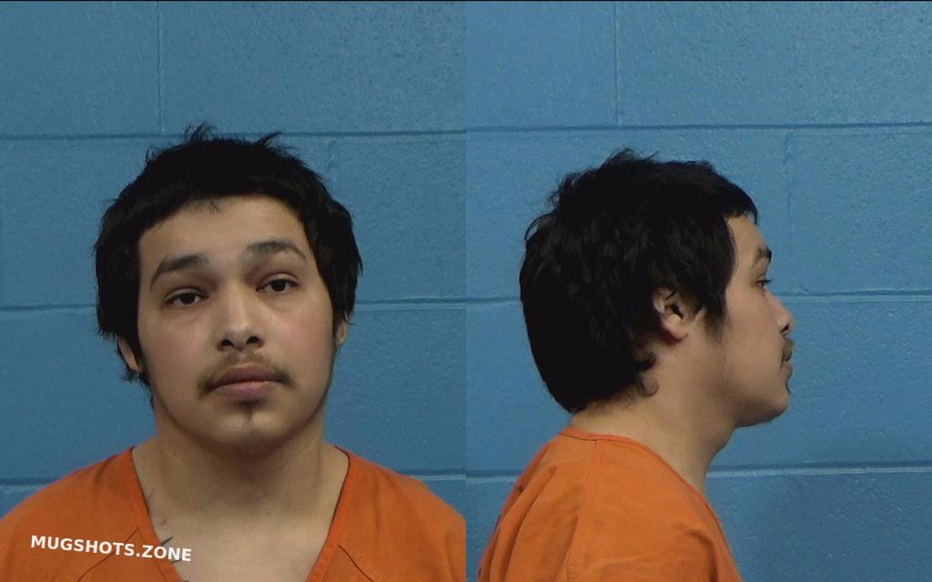 LISERIO ORLANDO 02/15/2022 - Williamson County Mugshots Zone