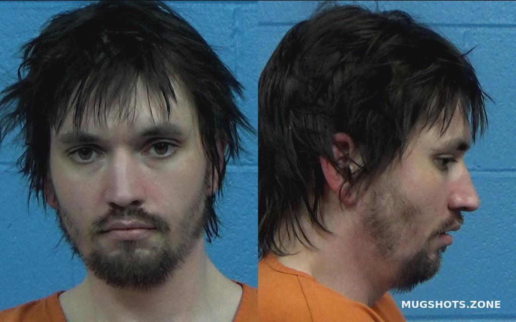 TARVER ANDREW RICHARD 02/28/2022 - Williamson County Mugshots Zone