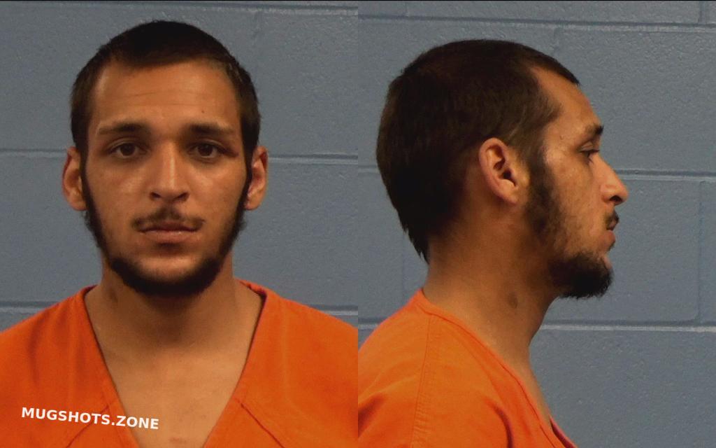 ELLISON THERIN LAMONT 03/06/2022 - Williamson County Mugshots Zone