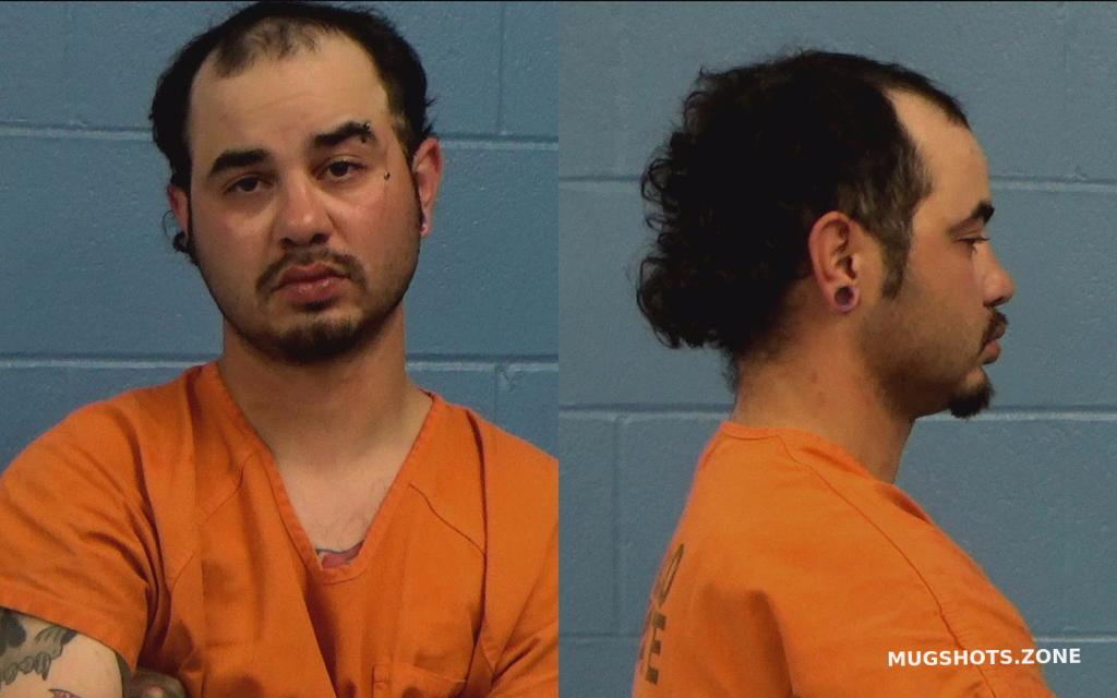 ORTEGA KALEB BEN 03/06/2022 - Williamson County Mugshots Zone