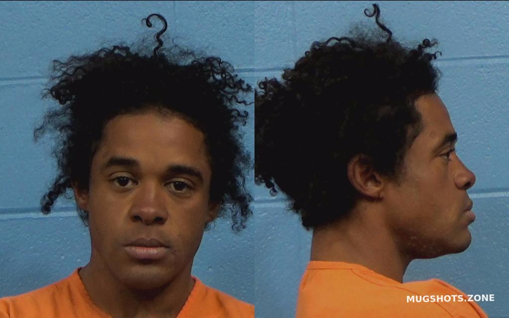 STEELE JONATHAN AGASSI 03/15/2022 - Williamson County Mugshots Zone