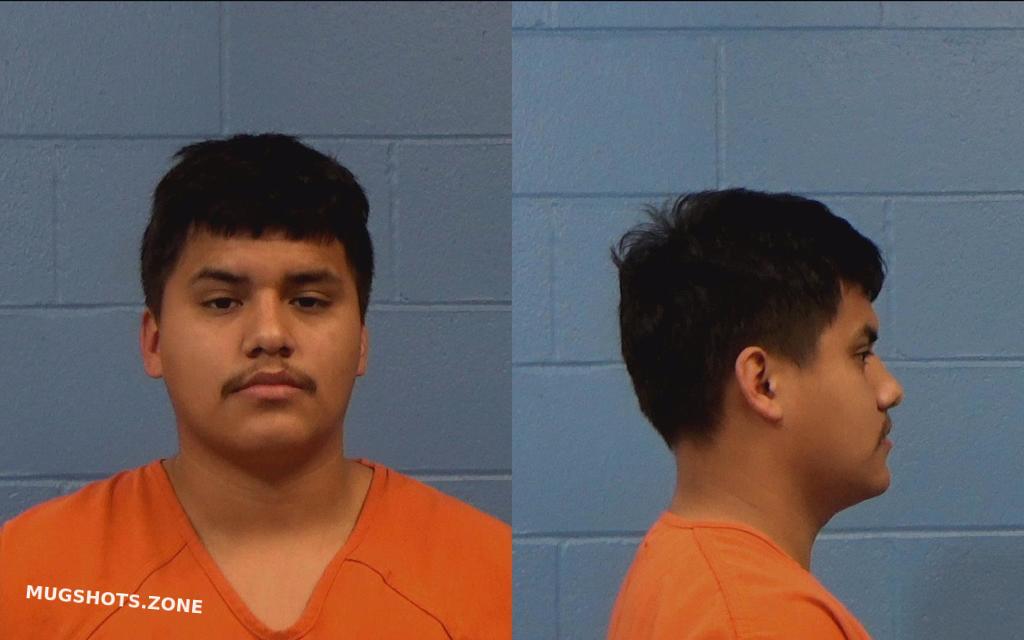 ACUNA ERIK 03/16/2022 - Williamson County Mugshots Zone