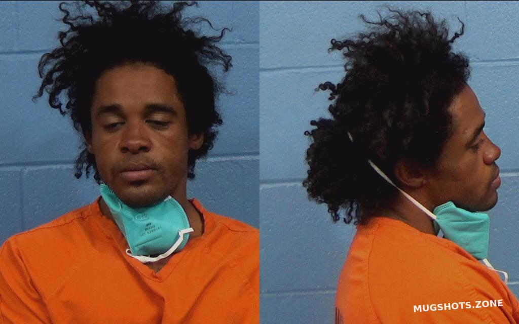 STEELE JONATHAN AGASSI 03/19/2022 - Williamson County Mugshots Zone