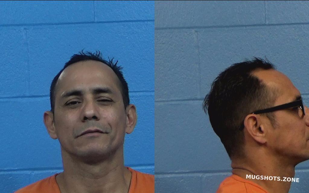 LUNA JOSE RAMON JR. 03/23/2022 - Williamson County Mugshots Zone