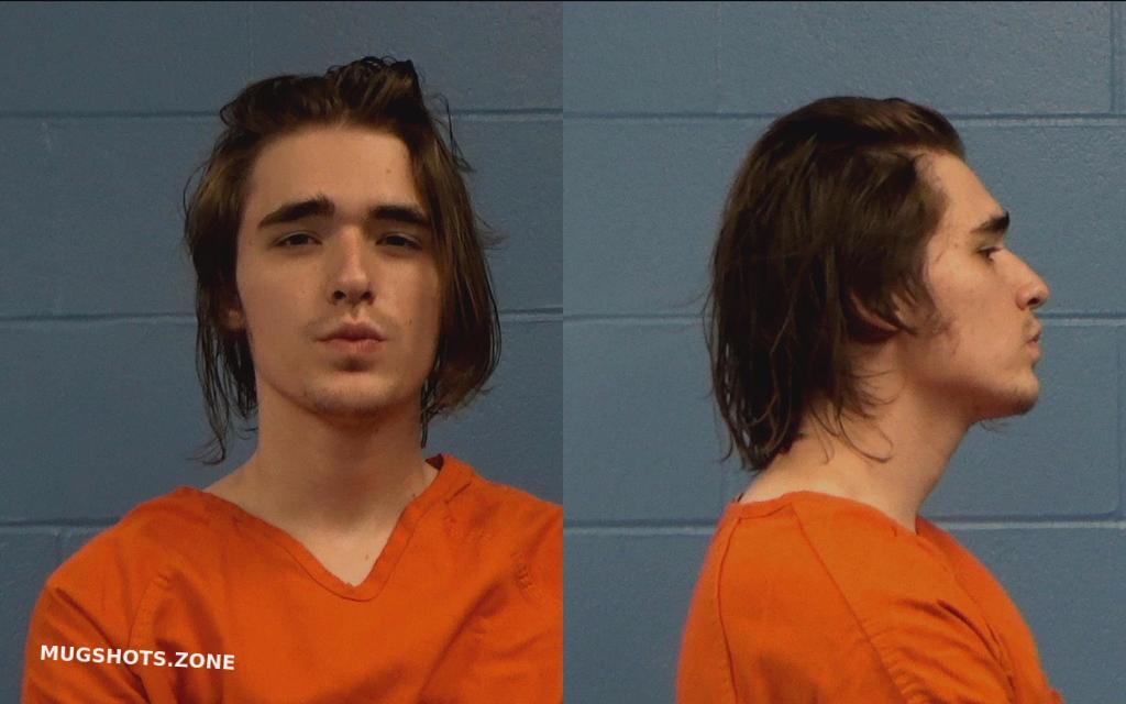 HUCKABY GRAYSON GRANT 03/24/2022 - Williamson County Mugshots Zone
