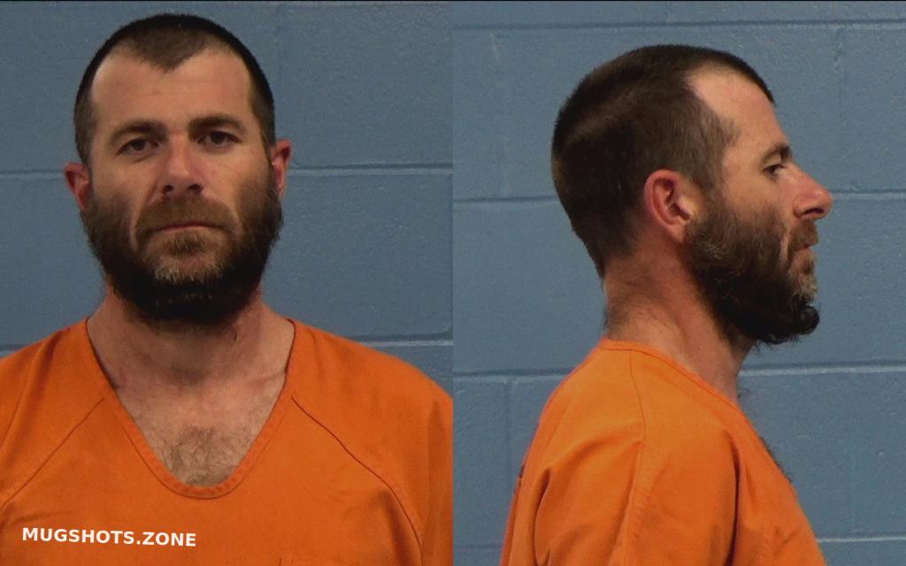 FREEMAN QUINTON E 03/29/2022 - Williamson County Mugshots Zone