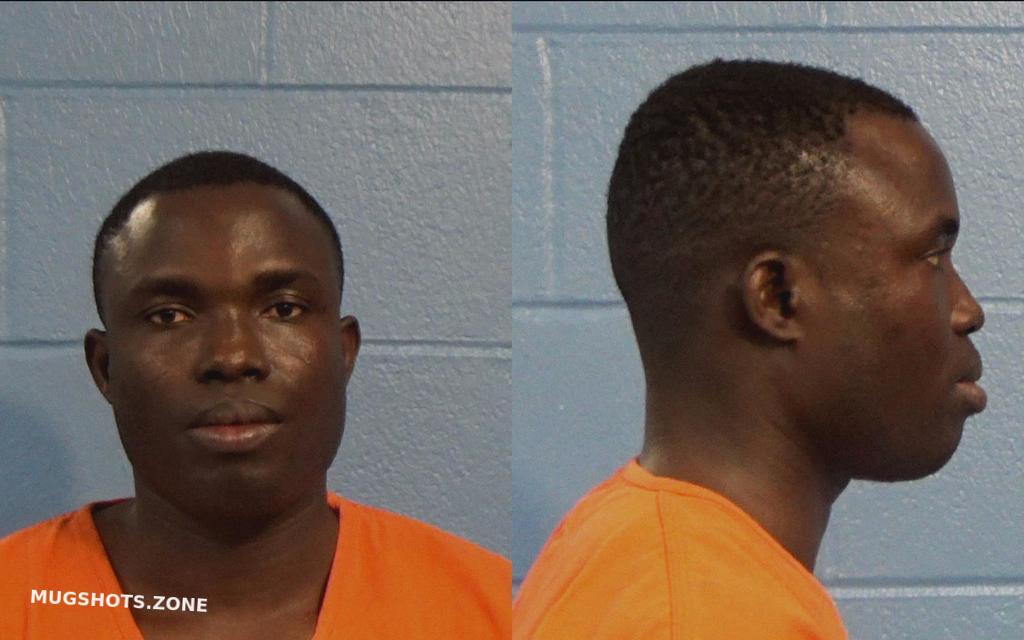 LIWAGUINA KATEMA 04/04/2022 - Williamson County Mugshots Zone