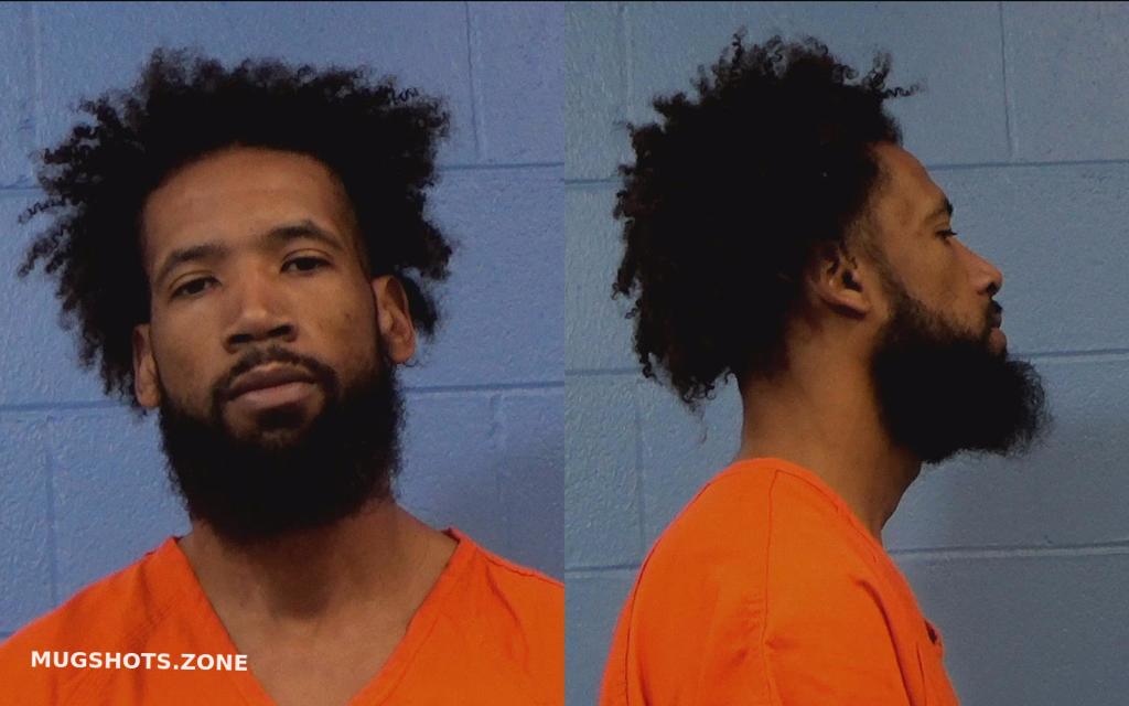 BROWN JASON EUGENE 04/05/2022 - Williamson County Mugshots Zone