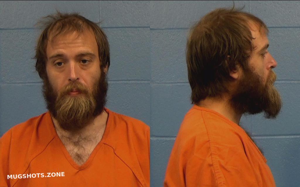 ROBINSON ANDREW GLEESON 04/14/2022 - Williamson County Mugshots Zone