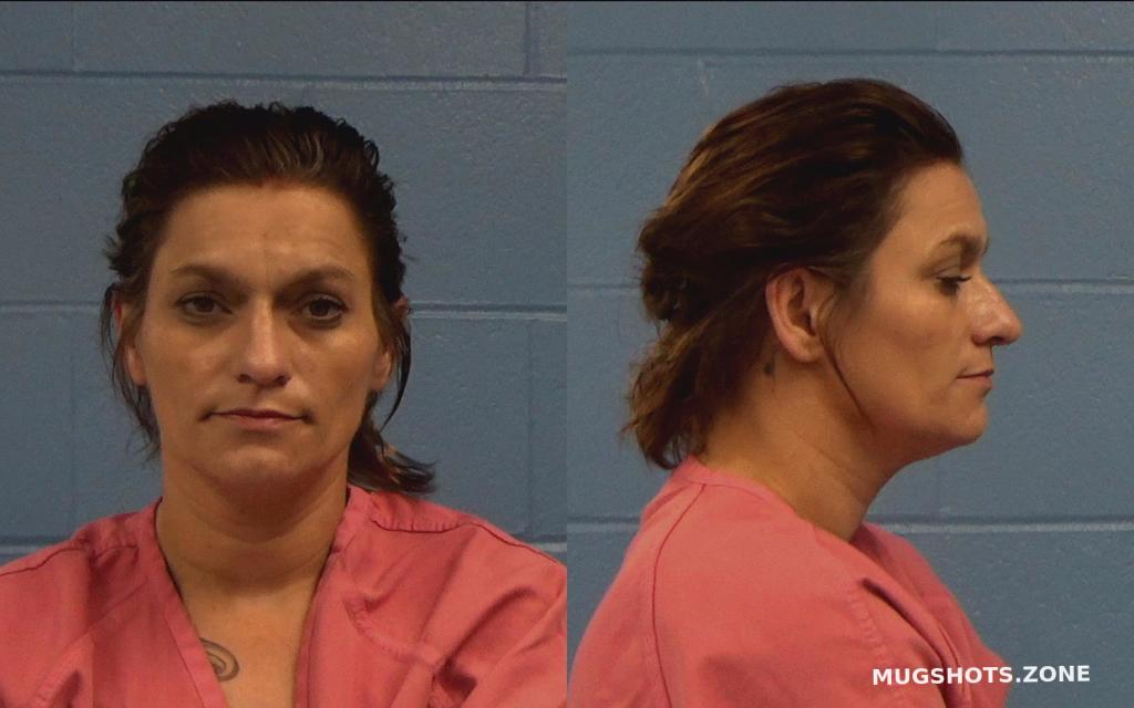 LANDERS GEOGINA NICHOLE 04/26/2022 - Williamson County Mugshots Zone